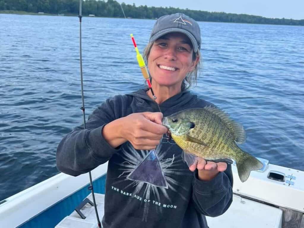 Lake Cabin Rentals Near Bemidji MN - Birch Haven Resort