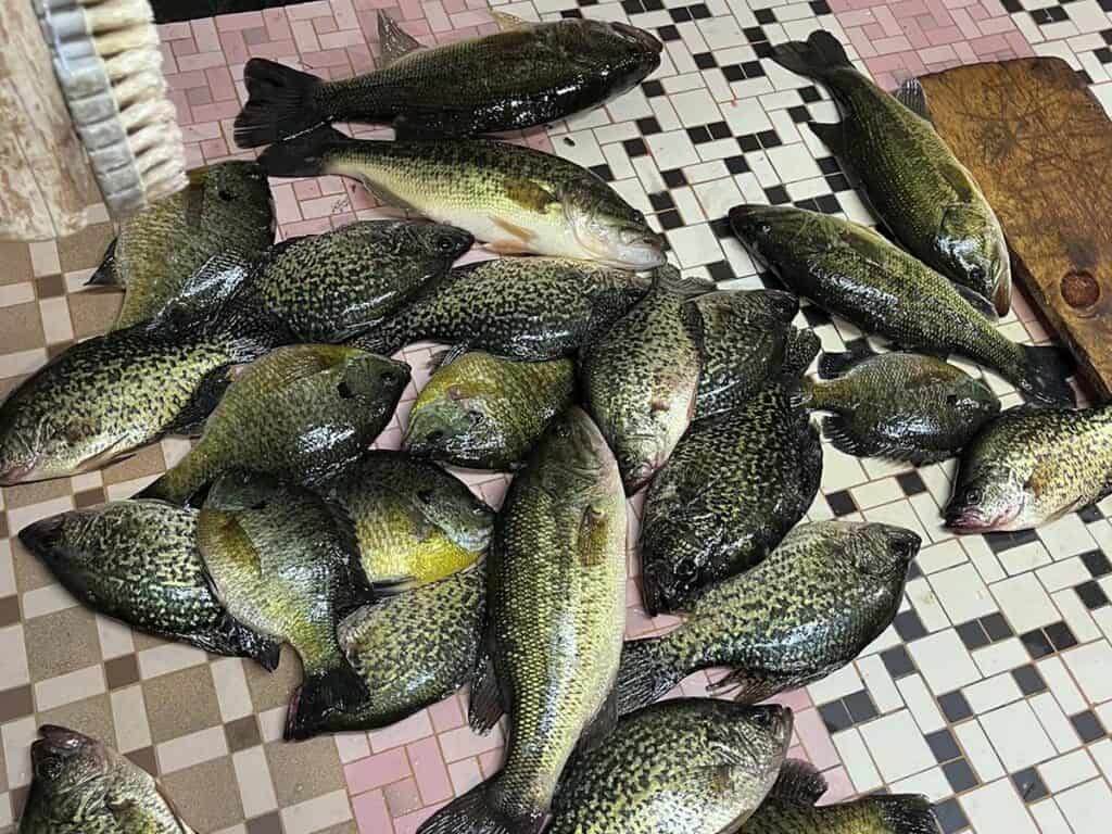 Lake Cabin Rentals Near Bemidji MN - Birch Haven Resort